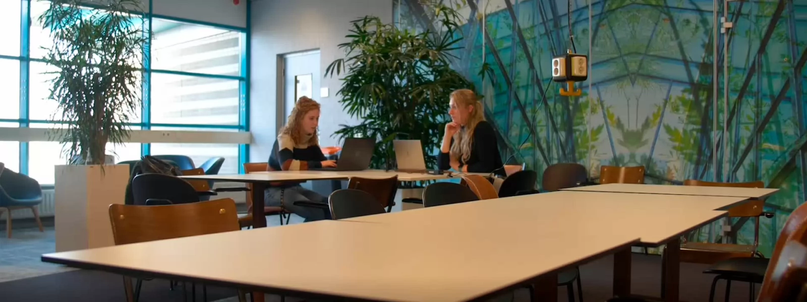 Minor Performance Coaching and Training Eindhoven | Fontys